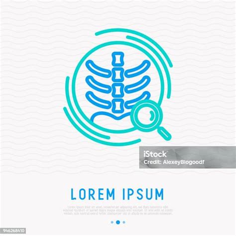 돋보기 얇은 라인 아이콘으로 척추입니다 척추에서 질환의 연구입니다 현대 벡터 일러스트입니다 Mri 스캔에 대한 스톡 벡터 아트