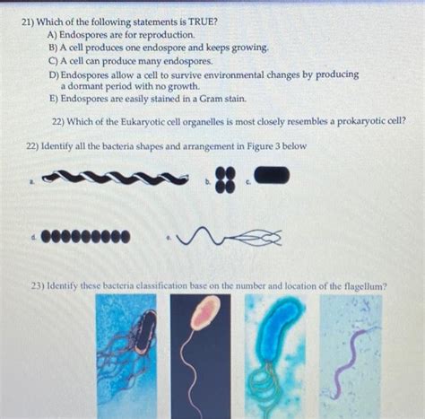 Solved 21) Which of the following statements is TRUE? A) | Chegg.com