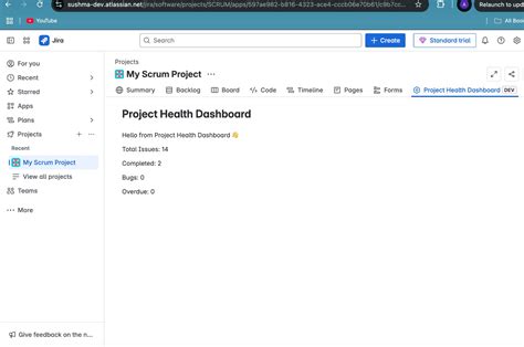 project health dashboard devpost
