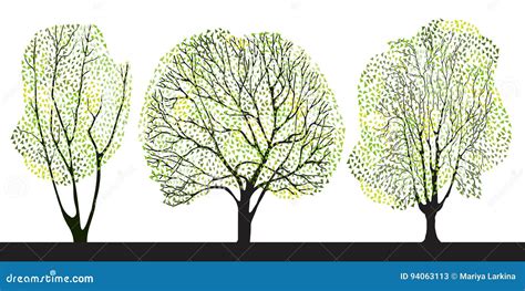 Set Of Three Trees Stock Vector Illustration Of Trees 94063113