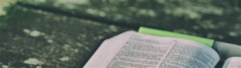 Illeism And Other English Words From Latin Pronouns Daily Writing Tips