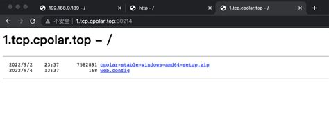 windows搭建webdav服务，并内网穿透公网访问【无公网ip】 windows 内网穿透ip csdn博客