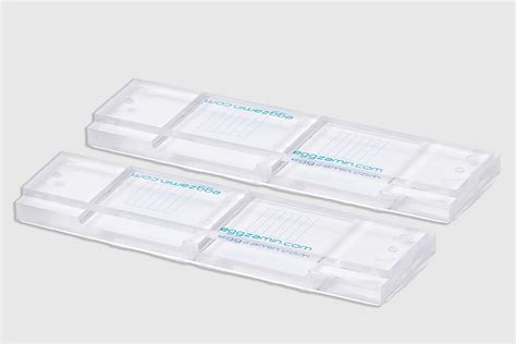Buy Bundle Of 2 Mcmaster Method Micro Slides Fec Fecal Egg Count