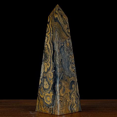 New Very Rare Fossilized Algae Obelisk 135782 G Catawiki