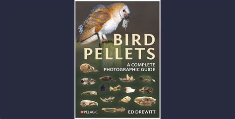 Bird Pellets A Complete Photographic Guidea Book Review 10000 Birds