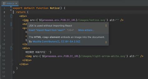 React Import React From React 제거시 웹스톰 오류 Learnapplyshare