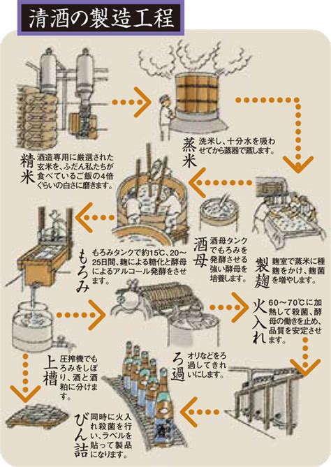 日本酒醸造工程 日本酒 製造プロセス Acoitl