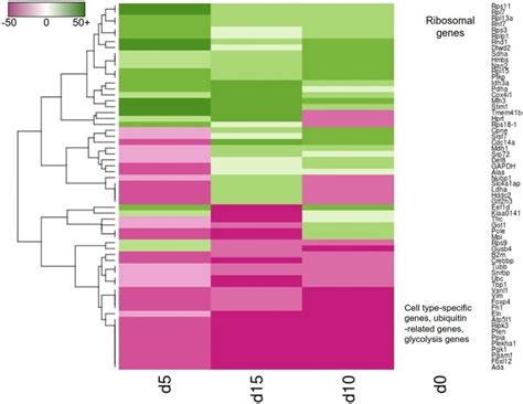 A Heatmap With The Application Of Standard Clustering Analysis Download Scientific Diagram