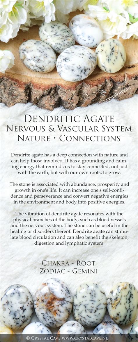 Dendritic Agate Zodiac 60 Photos