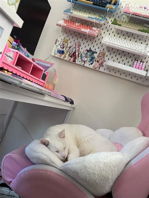 He Look Eepy But Lil Bro Was A Menace Today 😞