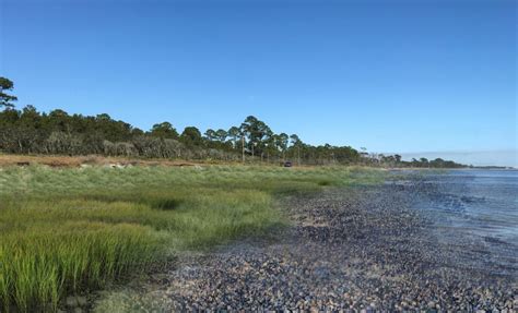 Shoreline Restoration Protecting Community Conserving The