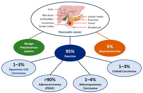 Targeted Nanoparticle Based Diagnostic And Treatment Options For