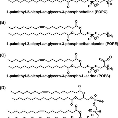 Chemical Structure Of A Popc B Pope C Pops And D Cl Download Scientific Diagram