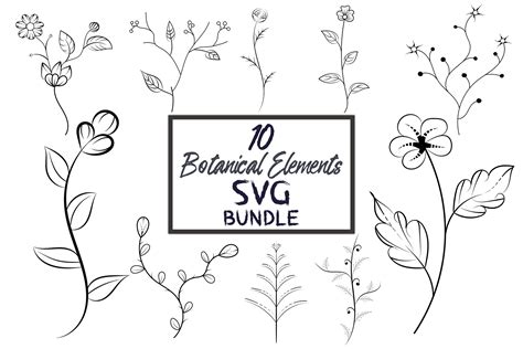 10 Botanical Elements Svg Bundle Graphic By Fokirashimul · Creative