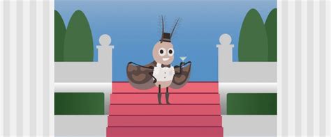 Using A Symfony Reproducer Symfonycasts