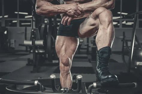 Nordic Hamstring Curl Progression Guide Zero To Hero