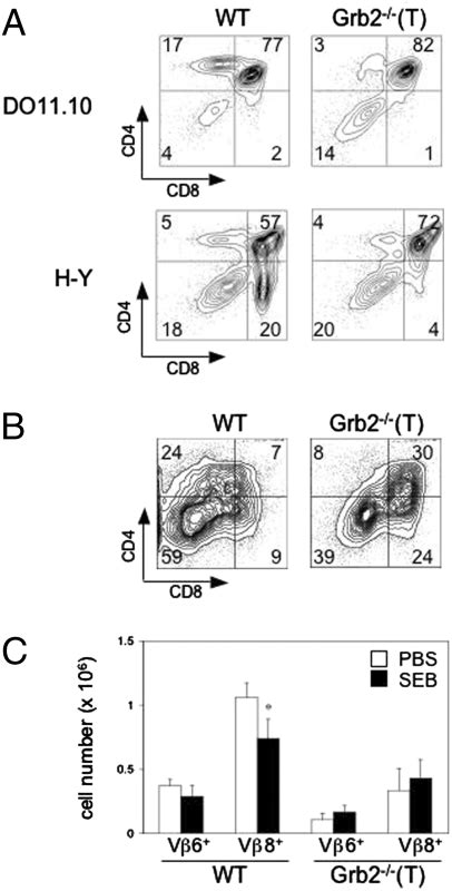 Grb2 Functions At The Top Of The T Cell Antigen Receptorinduced