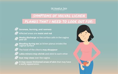Valuable Information You Need To Know About Your Vulva