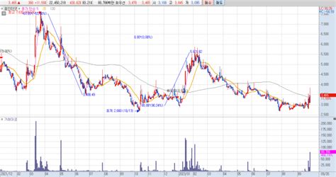 줌인터넷 주가 분석 가짜뉴스 관련주 네이버 블로그
