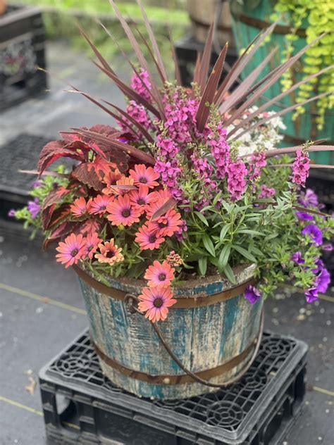 Badges Nursery Badges Nursery Added A New Photo