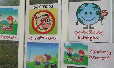 ქუთაისის მე 12 საჯარო სკოლის მეორეკლასელებმა გარემოსდაცვით თემებზე პლაკატები შექმენეს Etm Ge