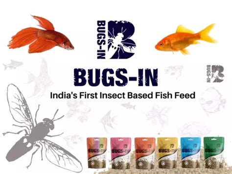 Taiyo Feed Mills Introduces Bugs In Indias First High Protein Insect