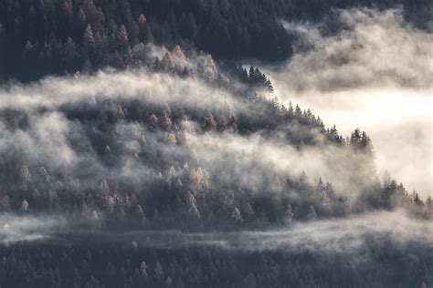 Modern Salesforce Web Apps Part 1 Angular2 Digital Flask