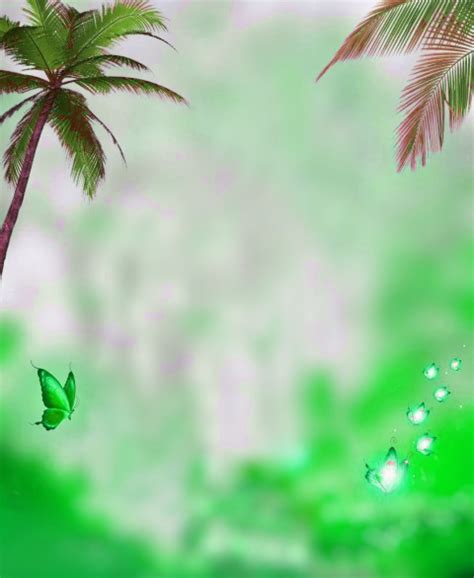 Bird Photoshop New Tree Background Full Hd Download Free Oyephoto