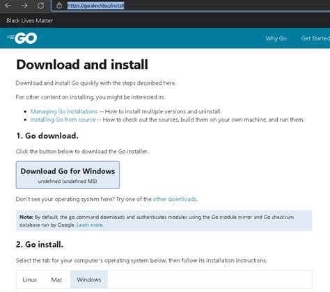 X Website Download Go Button On Go Dev Doc Install Page Is Broken Still Points To Golang Org