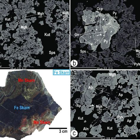 Successive Formation Of Skarn In The Contact Of Former Limestone Lens