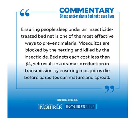 Cheap Anti Malaria Bed Nets Save Lives Cebu Daily News