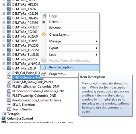 Arcgis Desktop Item Description From Catalog Window In Arcmap Wont