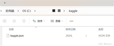 【经验分享】kaggle怎么下载数据集？ kaggle数据集 csdn博客