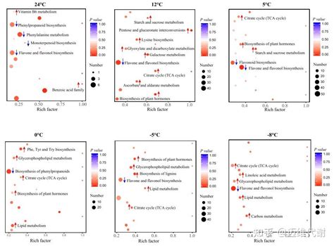 项目文章 转录组和代谢组学分析为青稞应对冷应激提供了见解 知乎