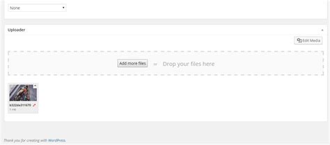 Sitewide Gallery Albums Not Uploading Images Rtmedia Easyengine
