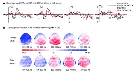 Syntactic Effect In Younger And Older Groups A Grand Averaged Erps Download Scientific