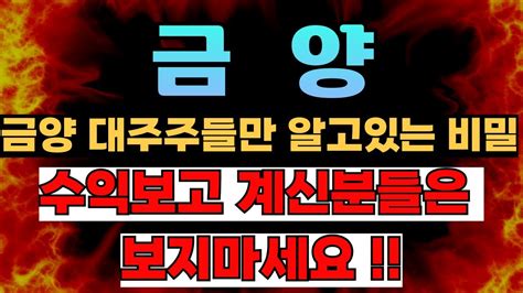 금양 주가전망 금양 대주주들만 알고있는 비밀 수익보고 계신분들은 보지마세요 Youtube