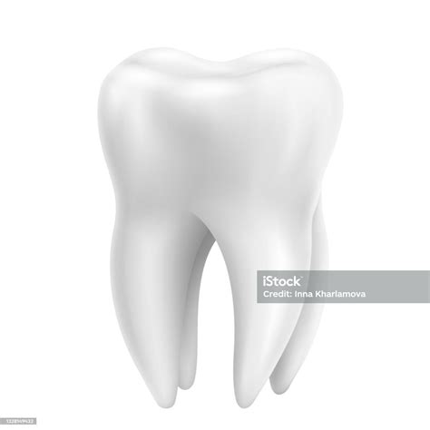 흰색 배경에 격리된 치아 사실적인 3d 벡터 치과 의학 및 의료 개념 디자인 요소 벡터 그림입니다 뿌리에 대한 스톡 벡터 아트 및 기타 이미지 Istock