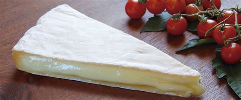 Queso Brie Quesos Especiales S R L