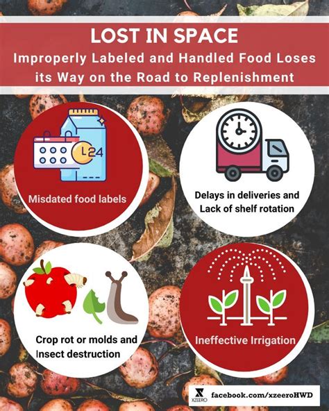 The Impact Of Improper Food Handling And Labeling
