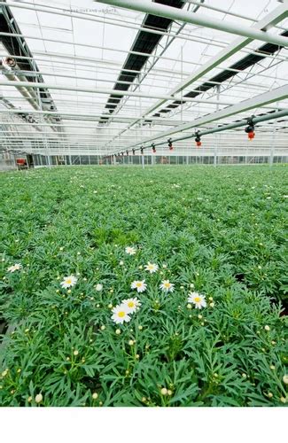 Three Phase Abb Acs Cp A Assistant Control Panel Keypad At ₹ 7000piece