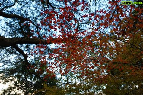 Jang Ki Yong Instagram Gethu Cinema