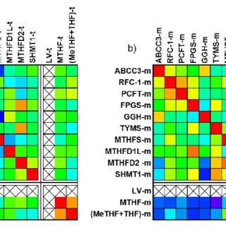 Heat Maps Showing The Correlation Between Gene Expression And Folate
