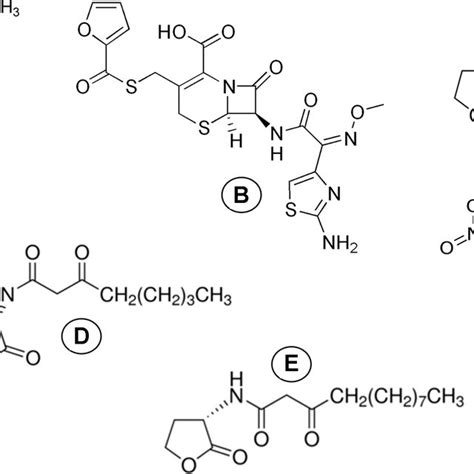 Molecular Structure Of Ligands Molecular Structure Of A Puromycin