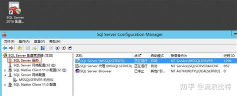 SQL Server 安装与SSMS访问 知乎