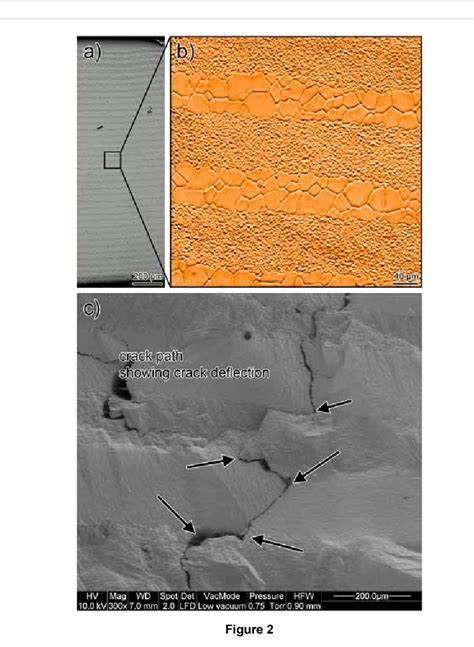Figure 2 From Hierarchically Structured Biomaterials For Tissue
