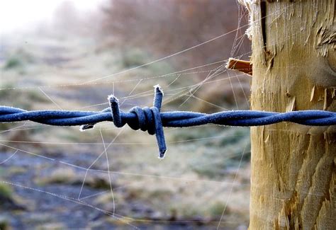 Graphic Art Wire Fencing Barbed Wire Wallpaper 🔥 Download Free