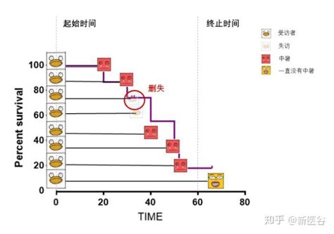 科研基础丨读文献先读懂图——生存分析曲线图 知乎
