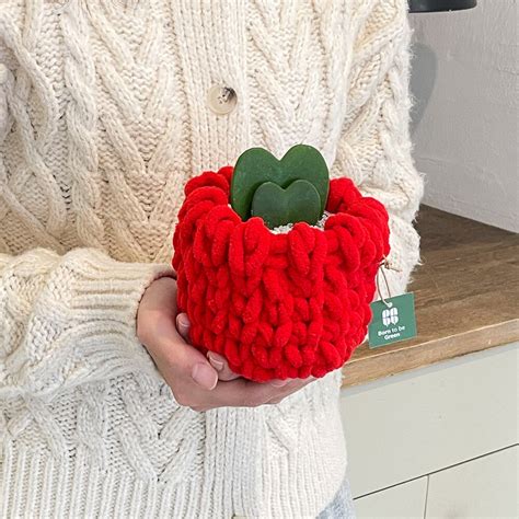 본투비그린 니트팟커버레드공기정화 하트호야 다육화분 세트 하트호야유광 세라믹화분골드 스탠드피규어팟커버 위시버킷