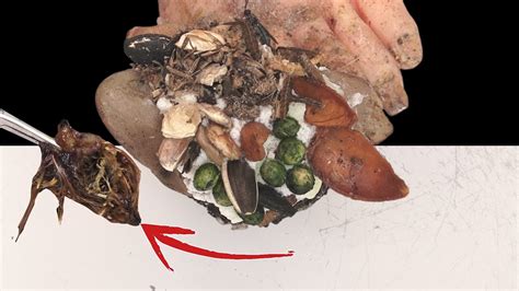 Extremely Long Toenails Abnormal Growth Of Black Mud 👣 Professional